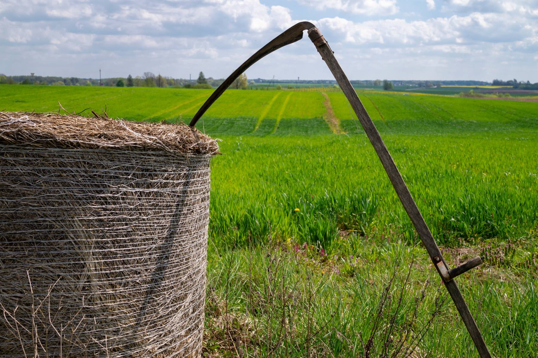 How To Use a Scythe on Your Property – Mother Earth News